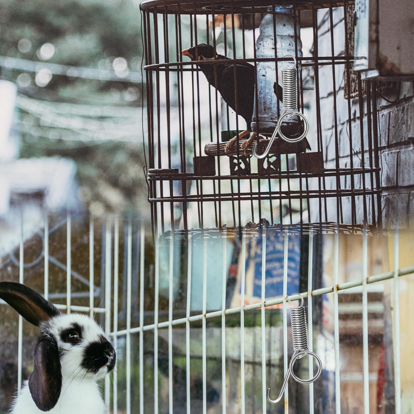 Snapklik.com : 20 Pcs Rabbit Cages Door Metal Finger Spring Latch Hook ...