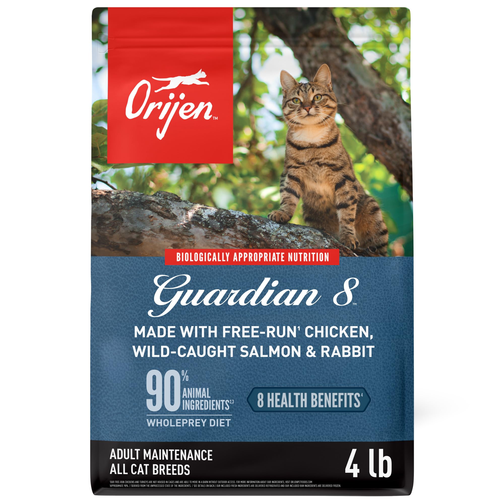 5 Best Healthy Dry Cat Food | Cat Nutrition That Actually Works