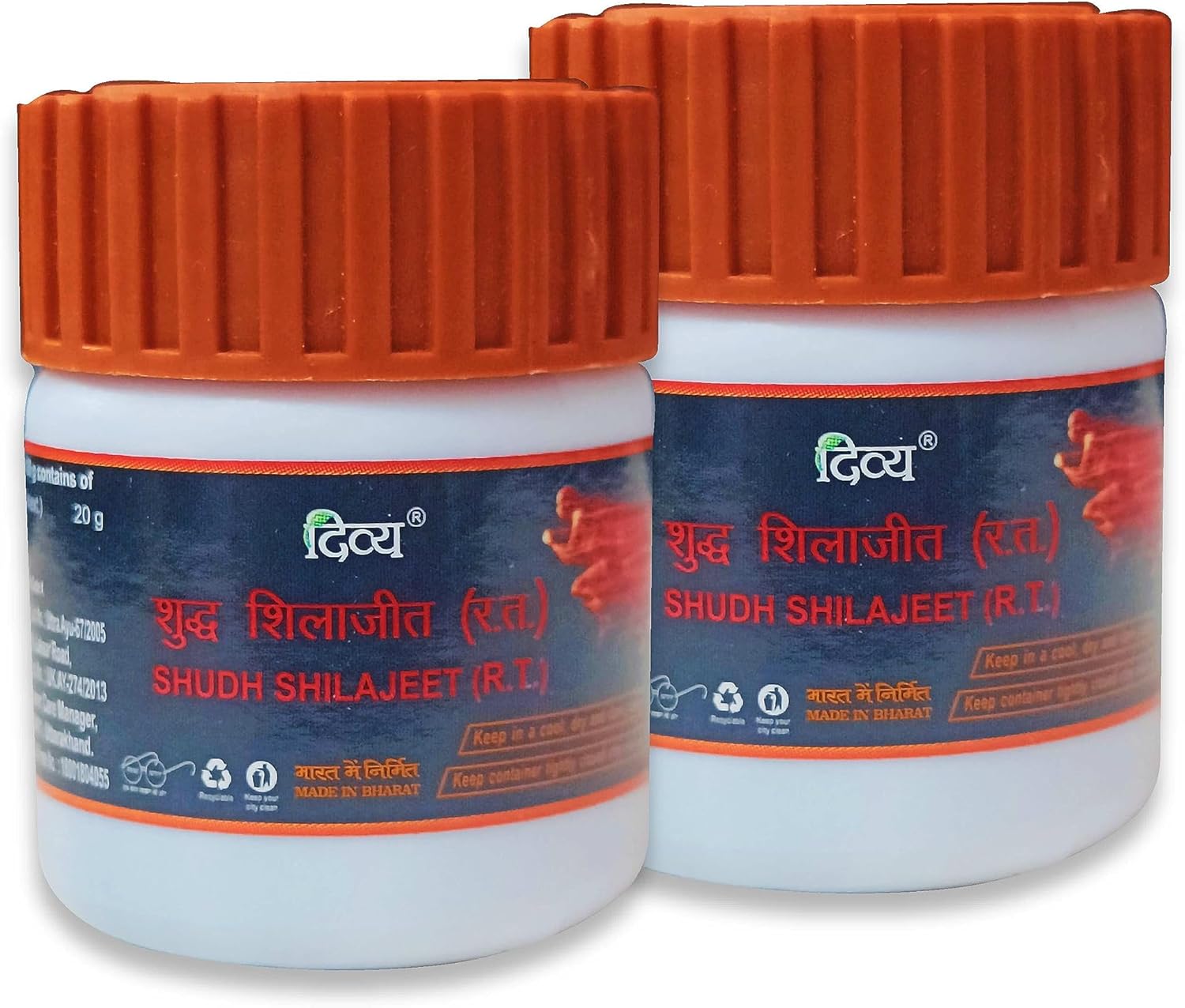 Patanjali Divya Shilajeet Sat,20g (Pack of 2) : Buy Online at Best ...