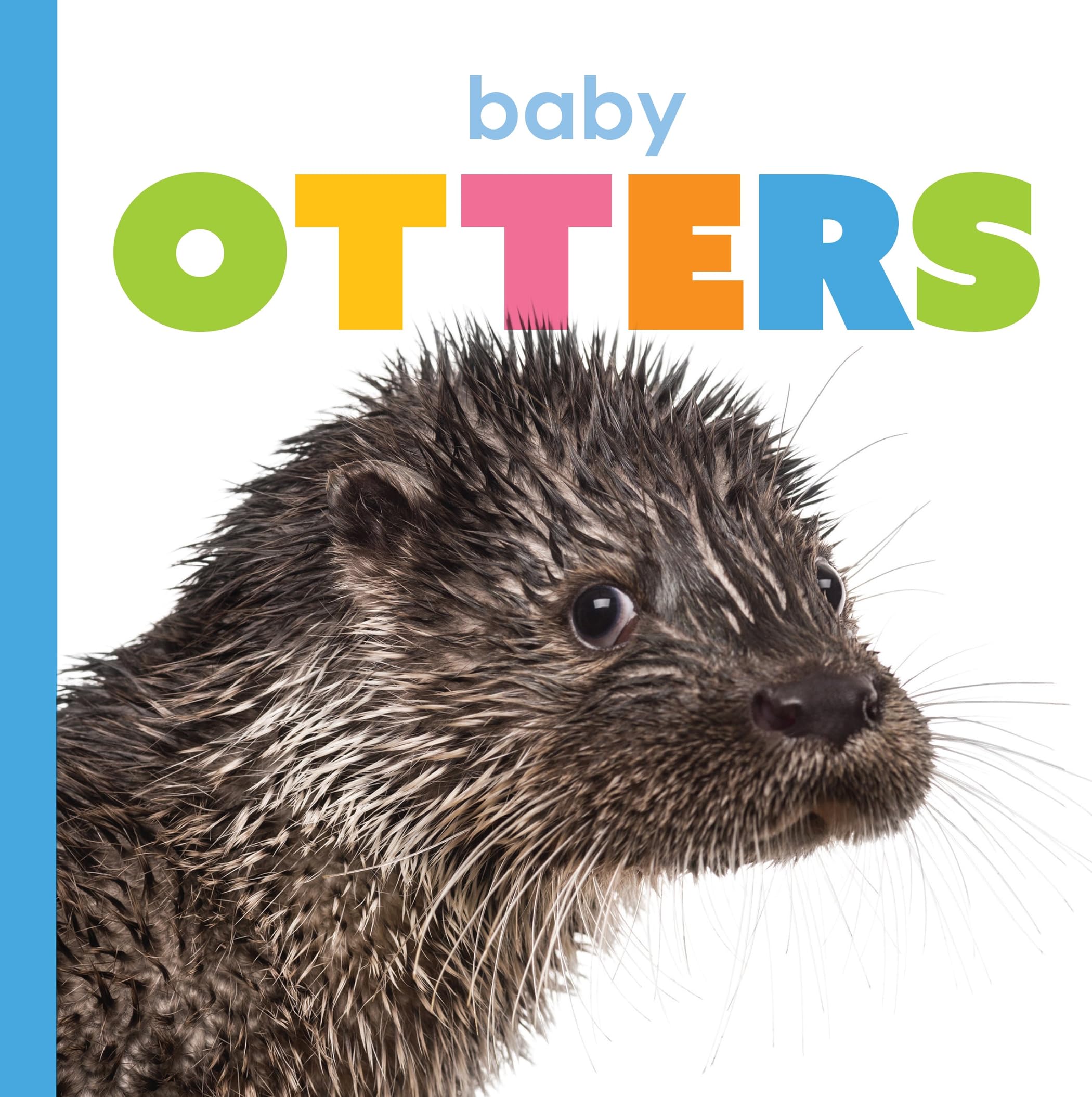Baby Otters (Starting Out): Riggs, Kate: 9781628328844: Amazon.com: Books