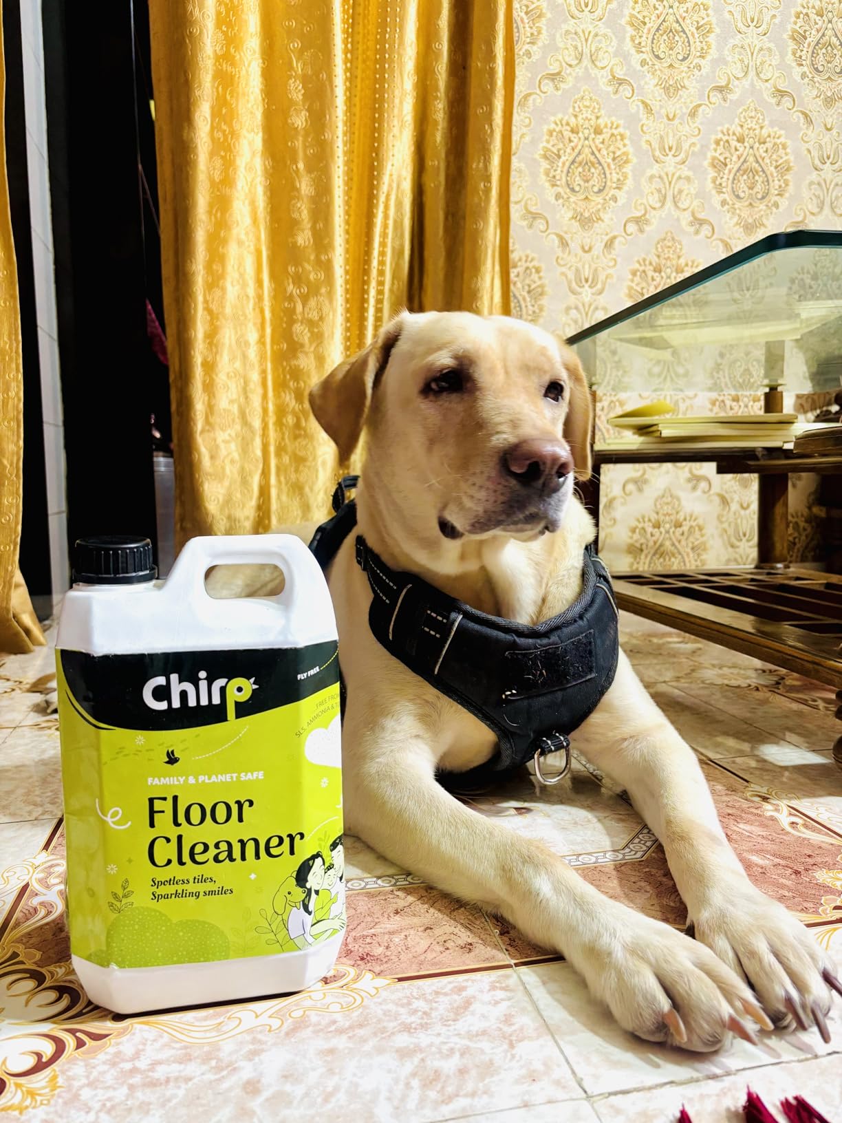 Chirp - Floor Cleaner Liquid, Pet Friendly (Dog,Cat) And Baby Safe With ...