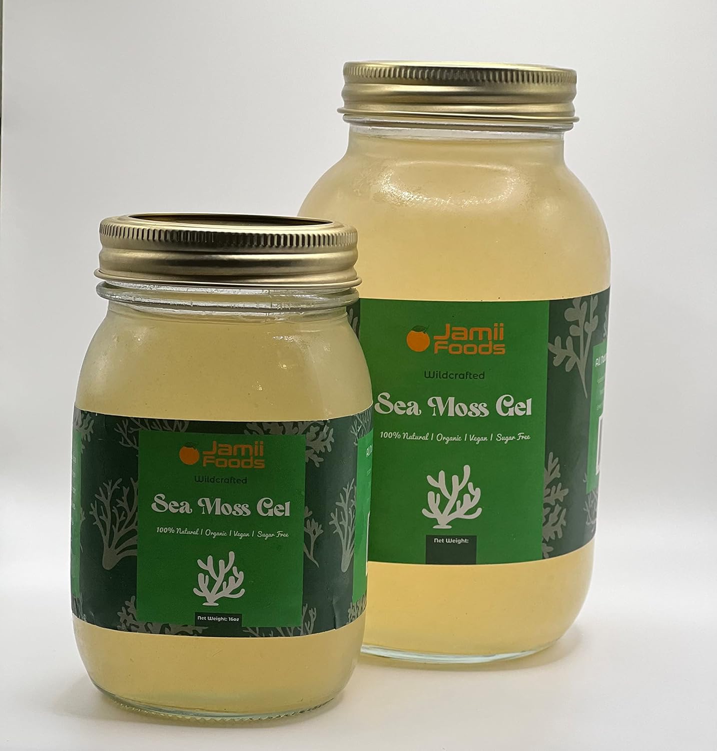 Wildcrafted Sea Moss Gel (16oz) : Amazon.ca: Health & Personal Care