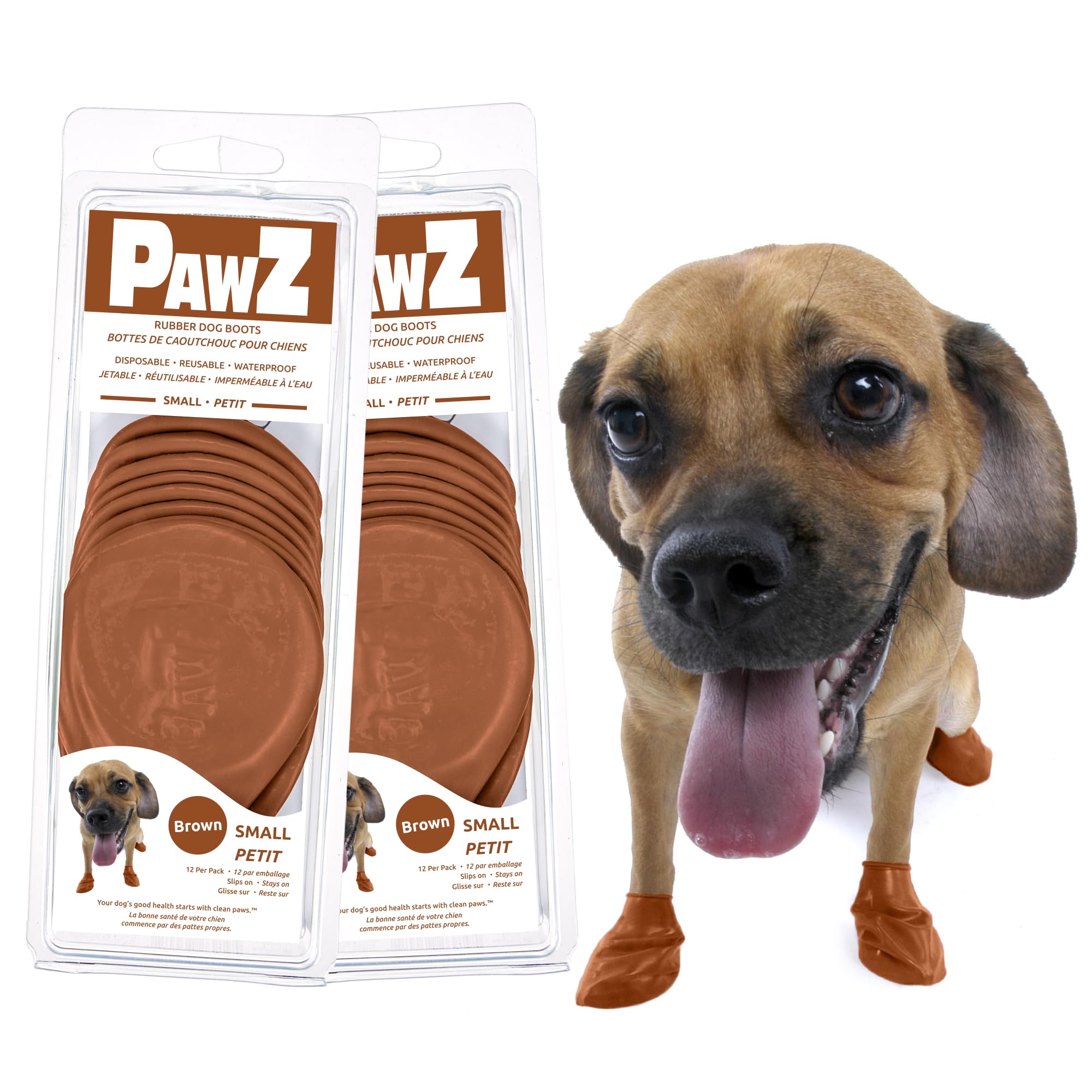 5 Best Shoes For Dachshunds | Shoes That Stay On