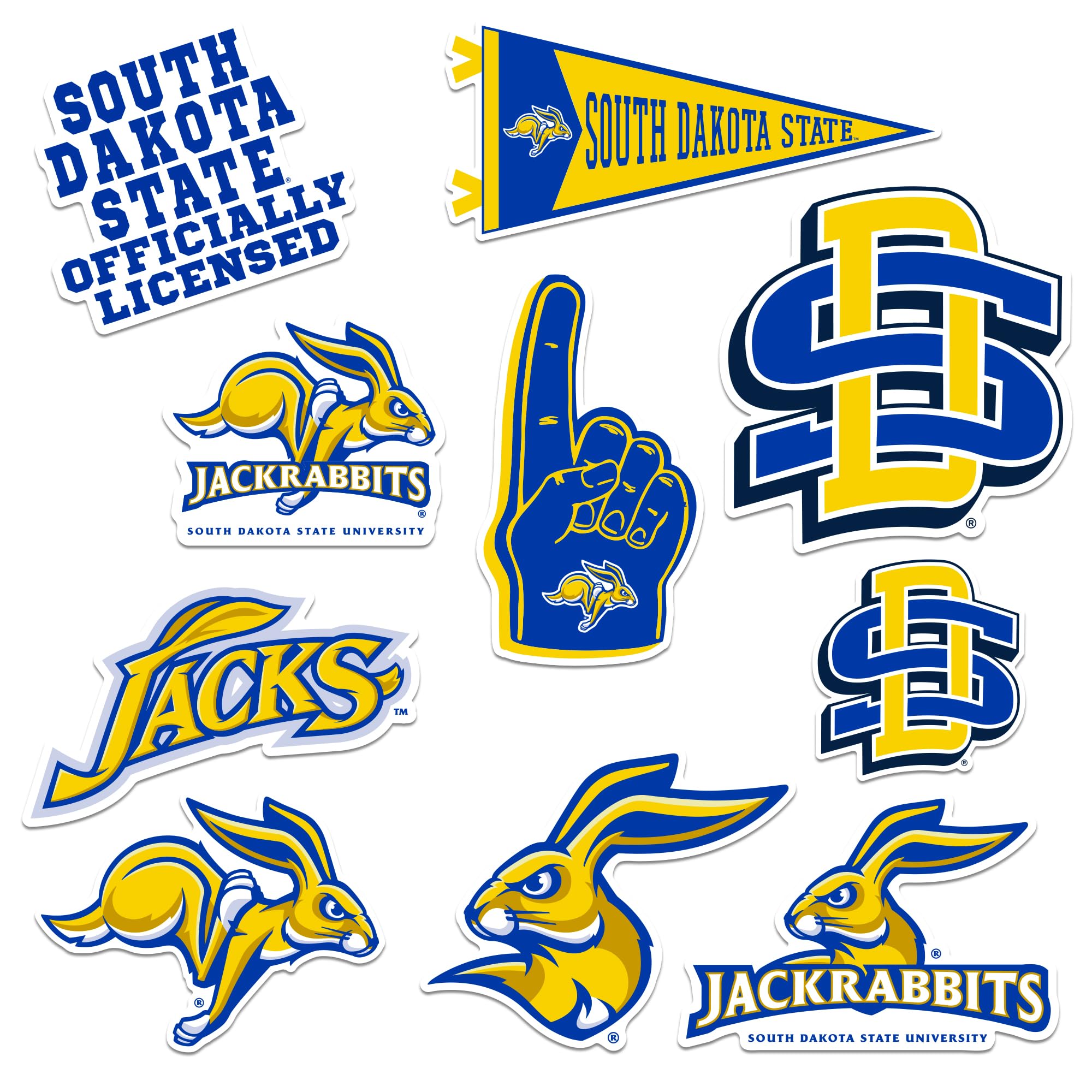 Amazon.com: South Dakota State University 9ct Vinyl Large Deluxe ...