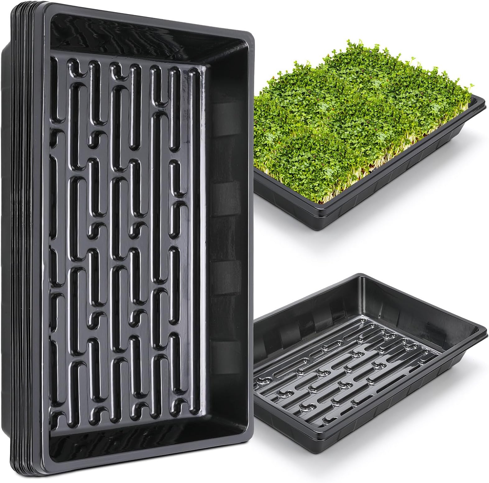 Amazon.com : 1020 Trays- Heavy Duty with Holes, 50 Pack, for ...
