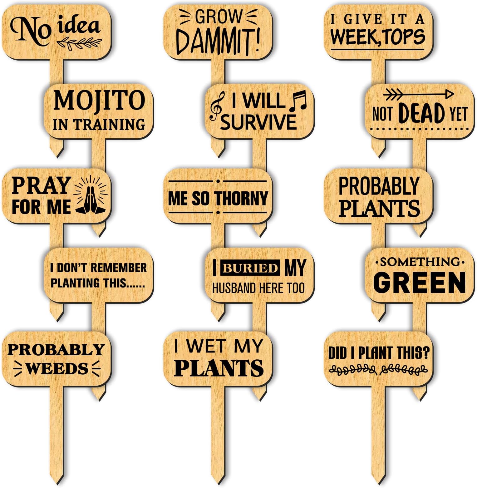Amazon.com: Huray Rayho Funny Wooden Plant Markers for Succulent ...