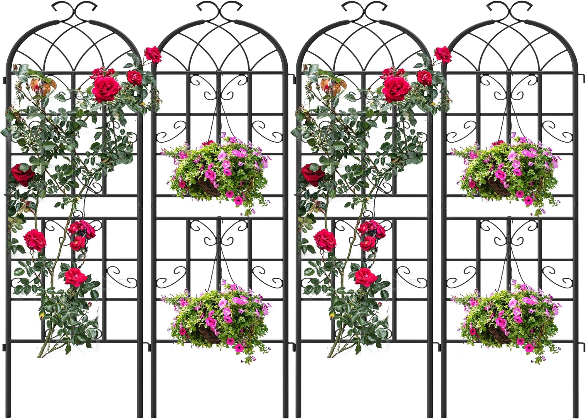 Amazon.com : Blulu 6 Pack 87 x 20in Metal Garden Trellis for Climbing ...