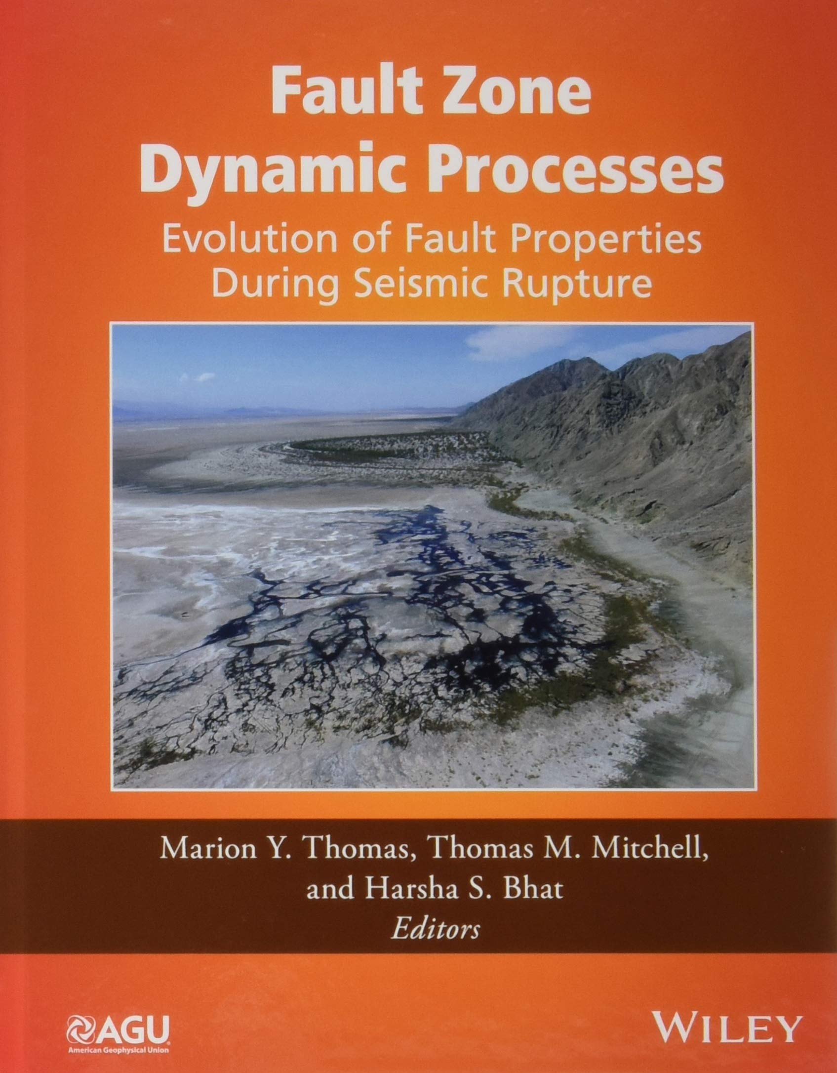 Buy Fault Zone Dynamic Processes: Evolution of Fault Properties During ...
