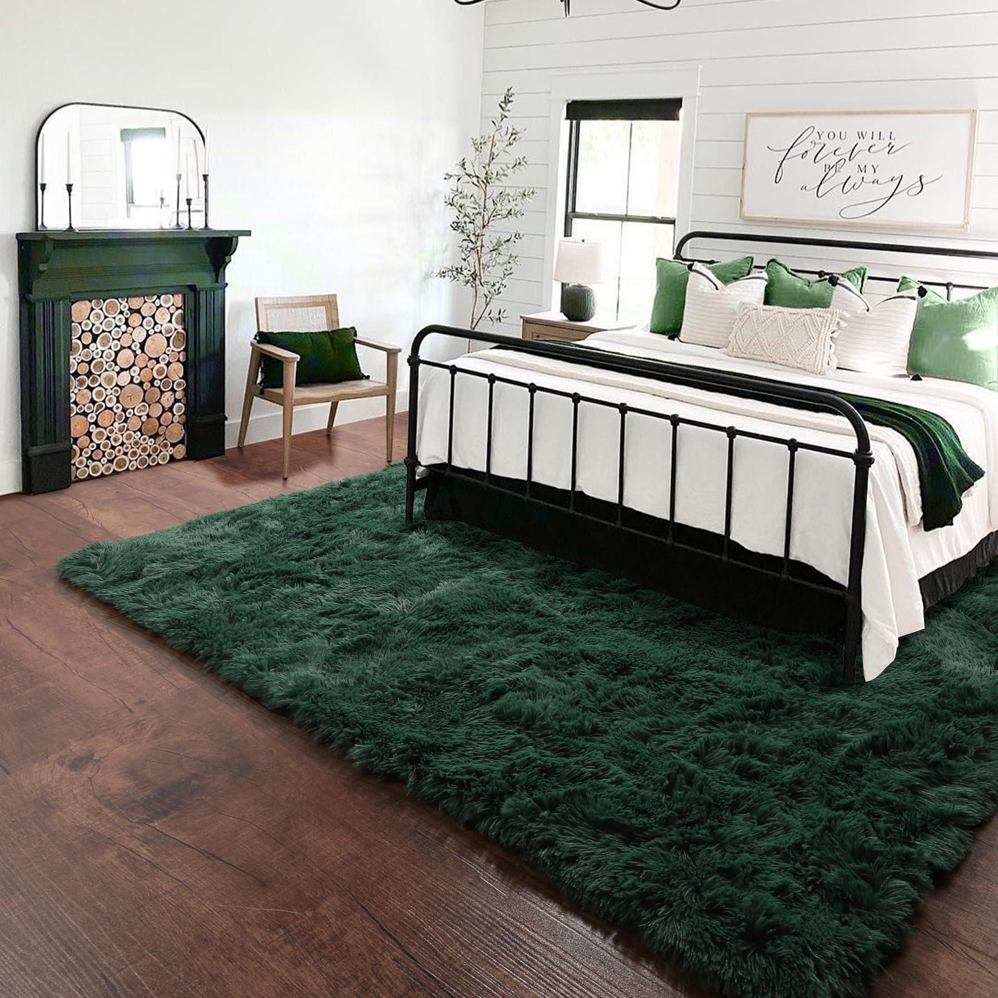 PAGISOFE Dark Green Area Rug for Bedroom, Living Room Aesthetic, Soft ...