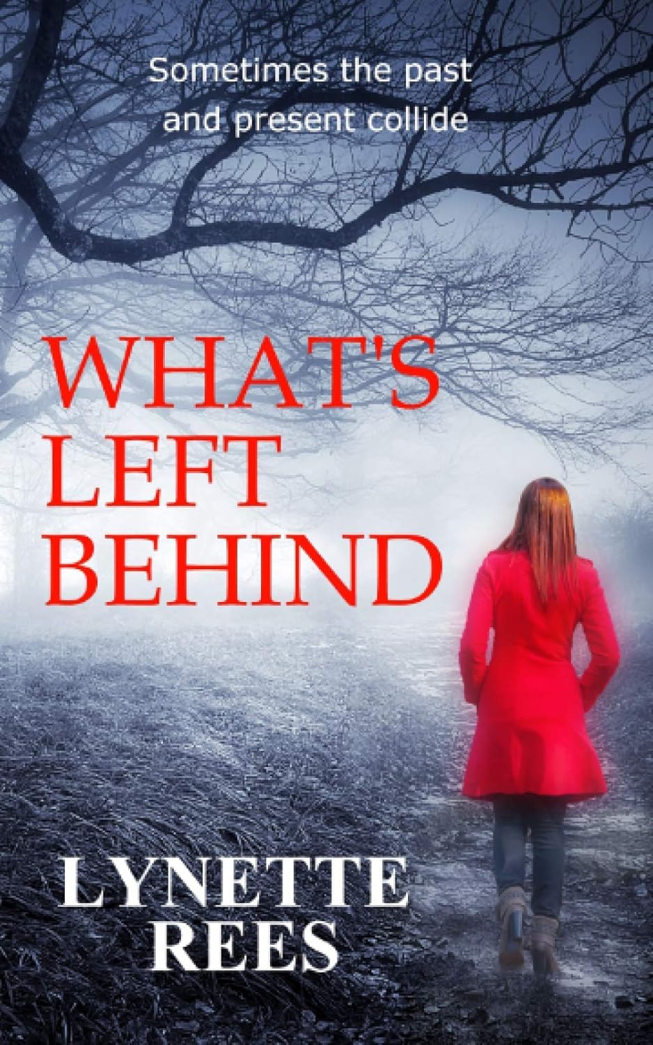 Amazon.com: What's Left Behind (Detective Ruth Carter Series) (Volume 1 ...