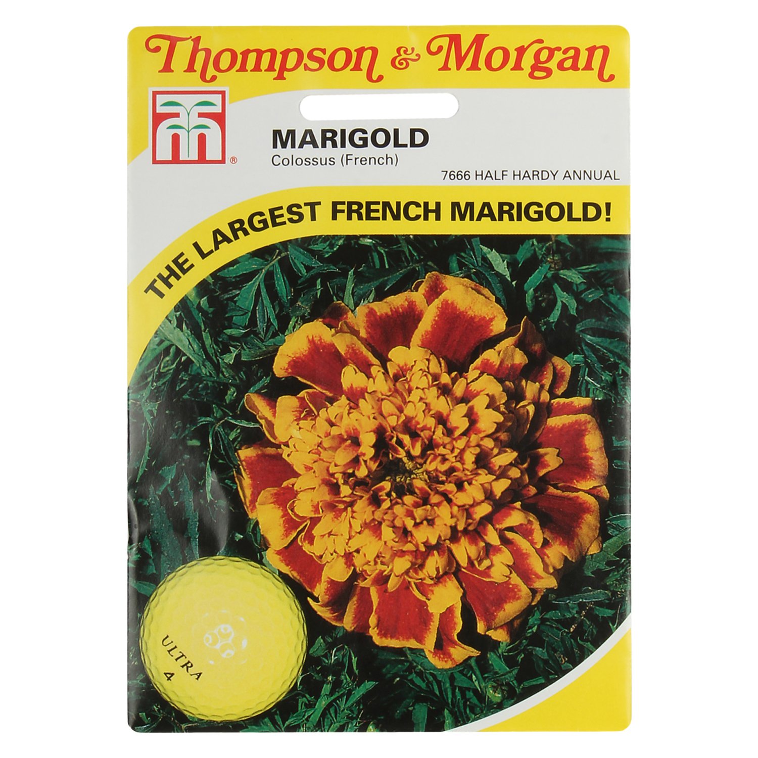 Thompson and Morgan Marigold Colossus Seeds : Amazon.in: Garden & Outdoors