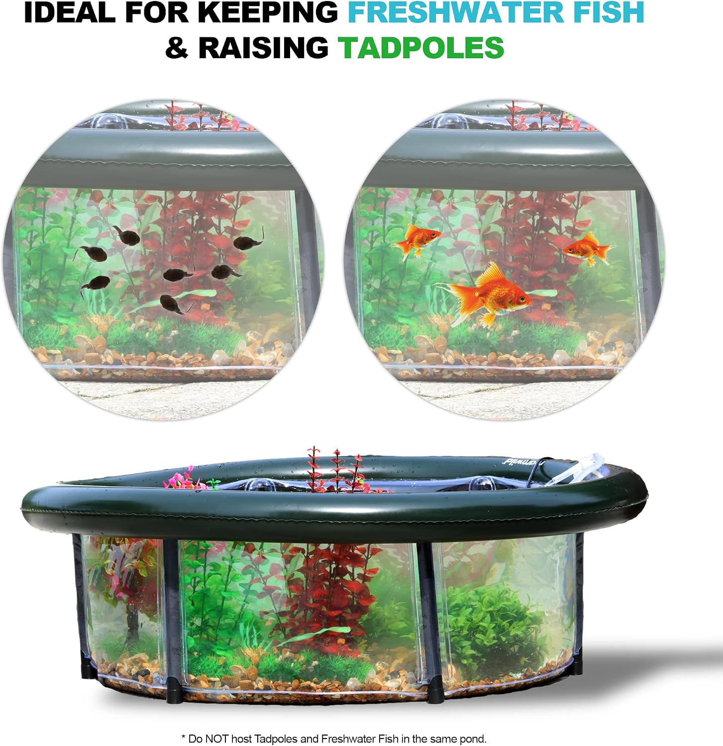 Roamwild Pop Up Pond - Transparent Garden Water Nepal | Ubuy