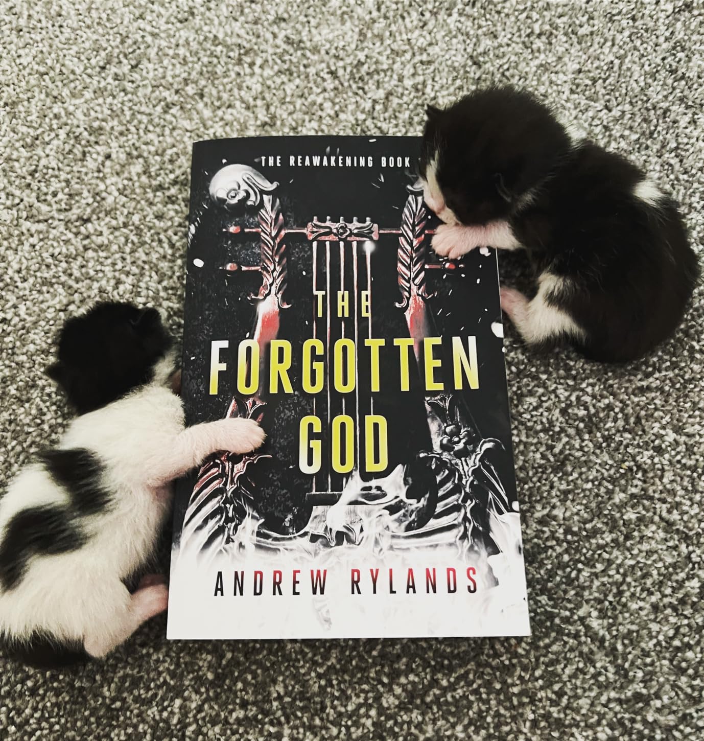 The Forgotten God: A Modern Greek Myth Urban Fantasy Novel (The ...