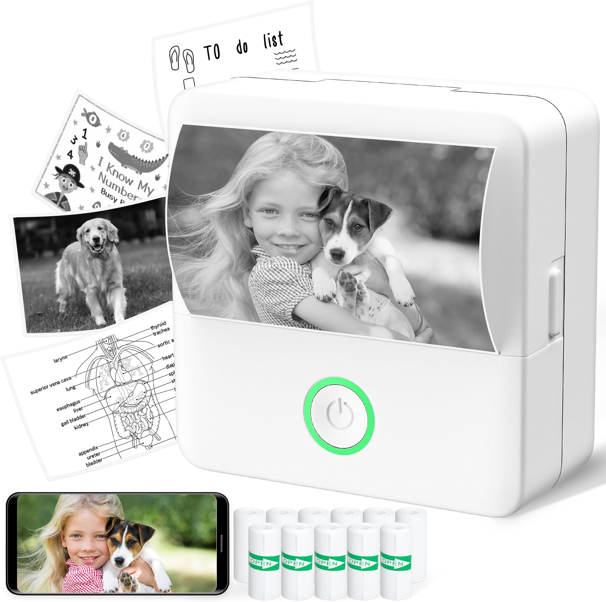 Amazon.com: Mini Sticker Printer with 11 Rolls Paper,Thermal Mini ...