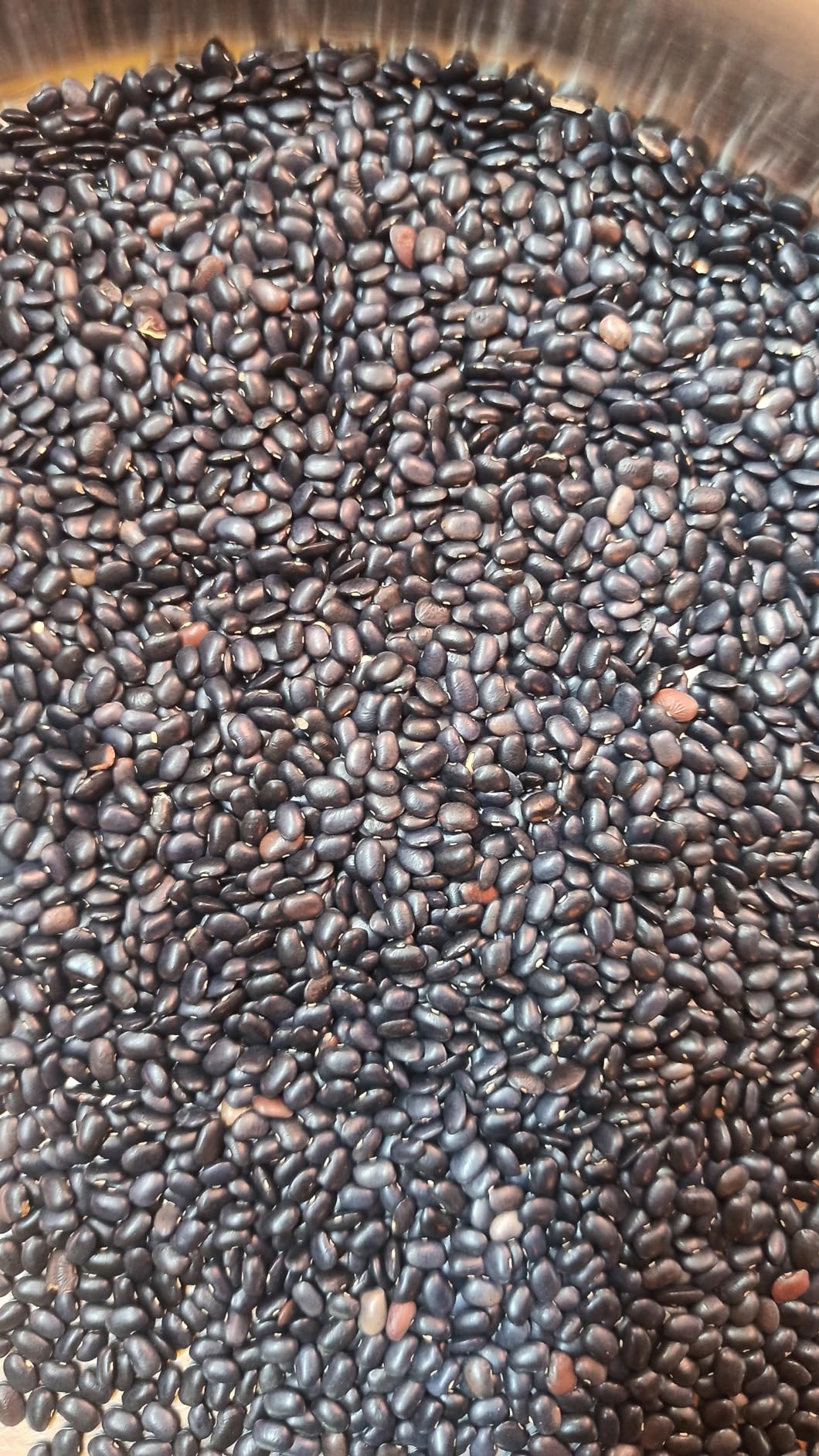 Saara HERBAL FRESH Black Horse Gram, 950g, Kollu, Kulthi, Vulavalu ...