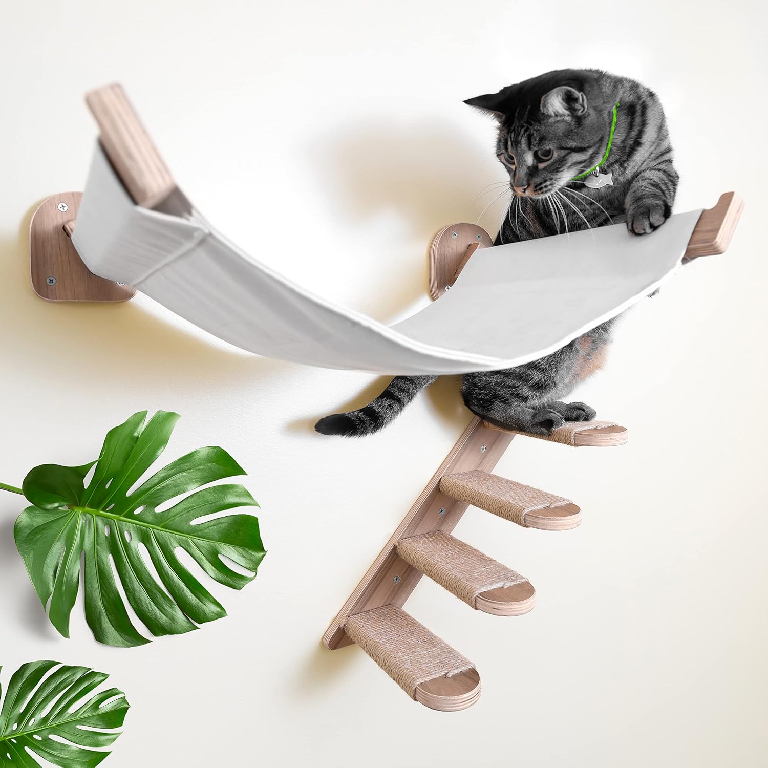Amazon.com : Cat Hammock for Wall Combo Set with Reversible Cat Wall ...