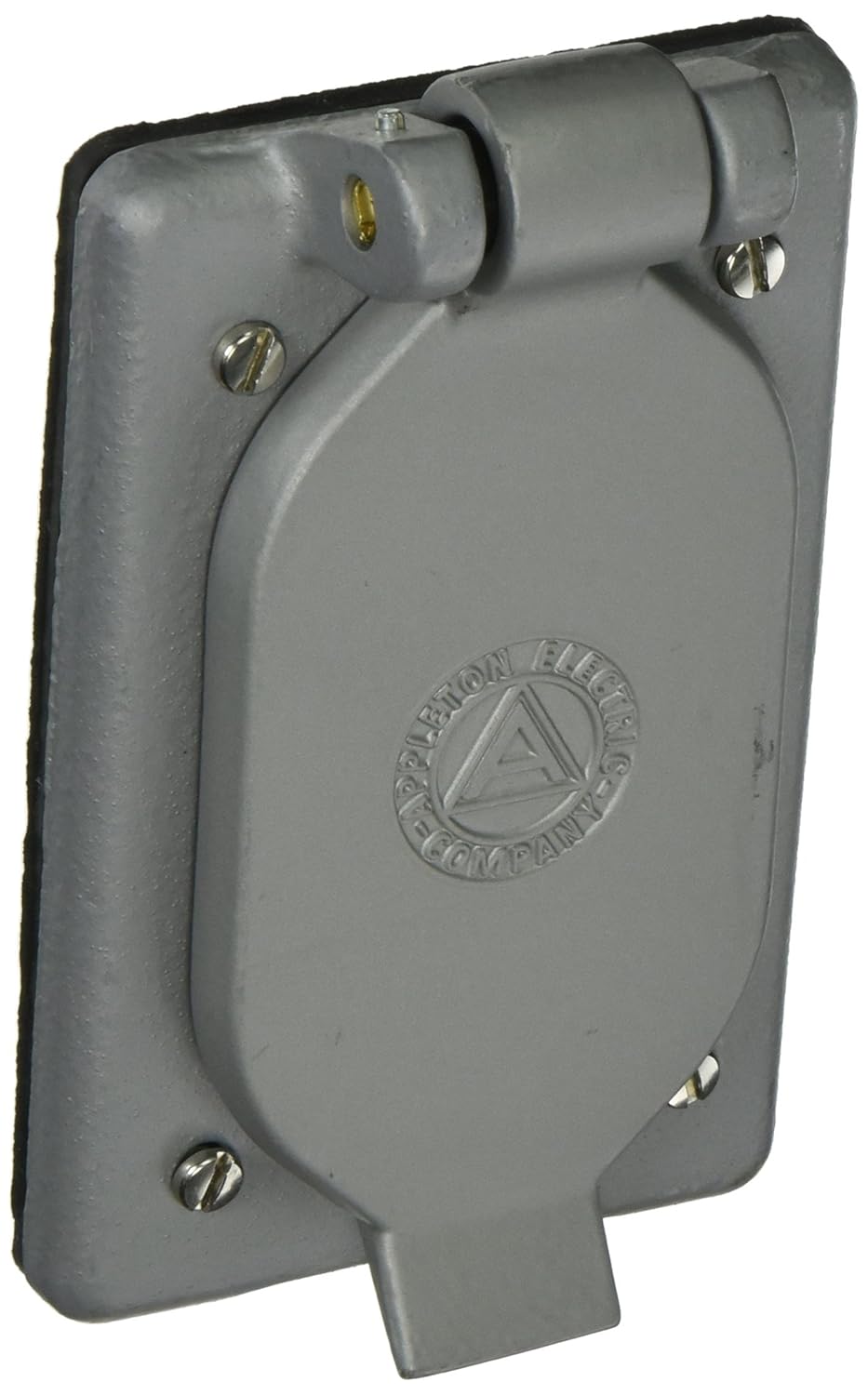 APPLETON FSK1VDR Type FS Duplex Lift Cover - Amazon.com