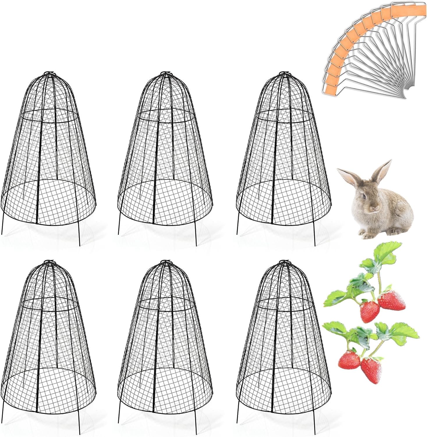 Amazon.com : RUAFOX Premium Set of 6 Metal Garden Cloche Domes - 20 ...