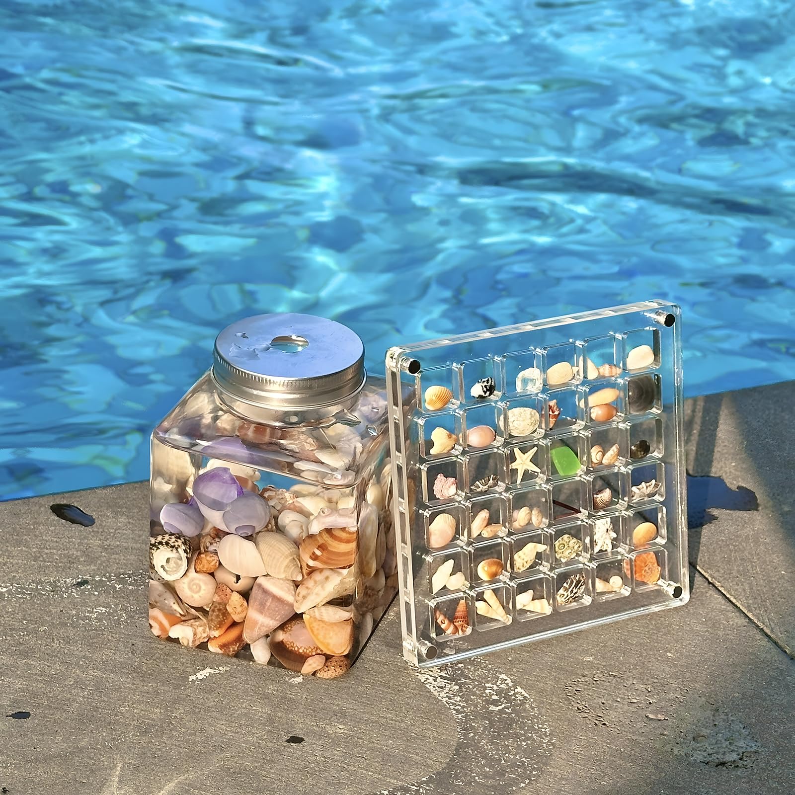 Snapklik.com : 2024 New Acrylic Magnetic Seashell Display Box, Seashell ...