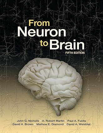 Amazon | From Neuron to Brain/ Neurons in Action Version 2 | Nicholls, John G., Martin, Robert A ...