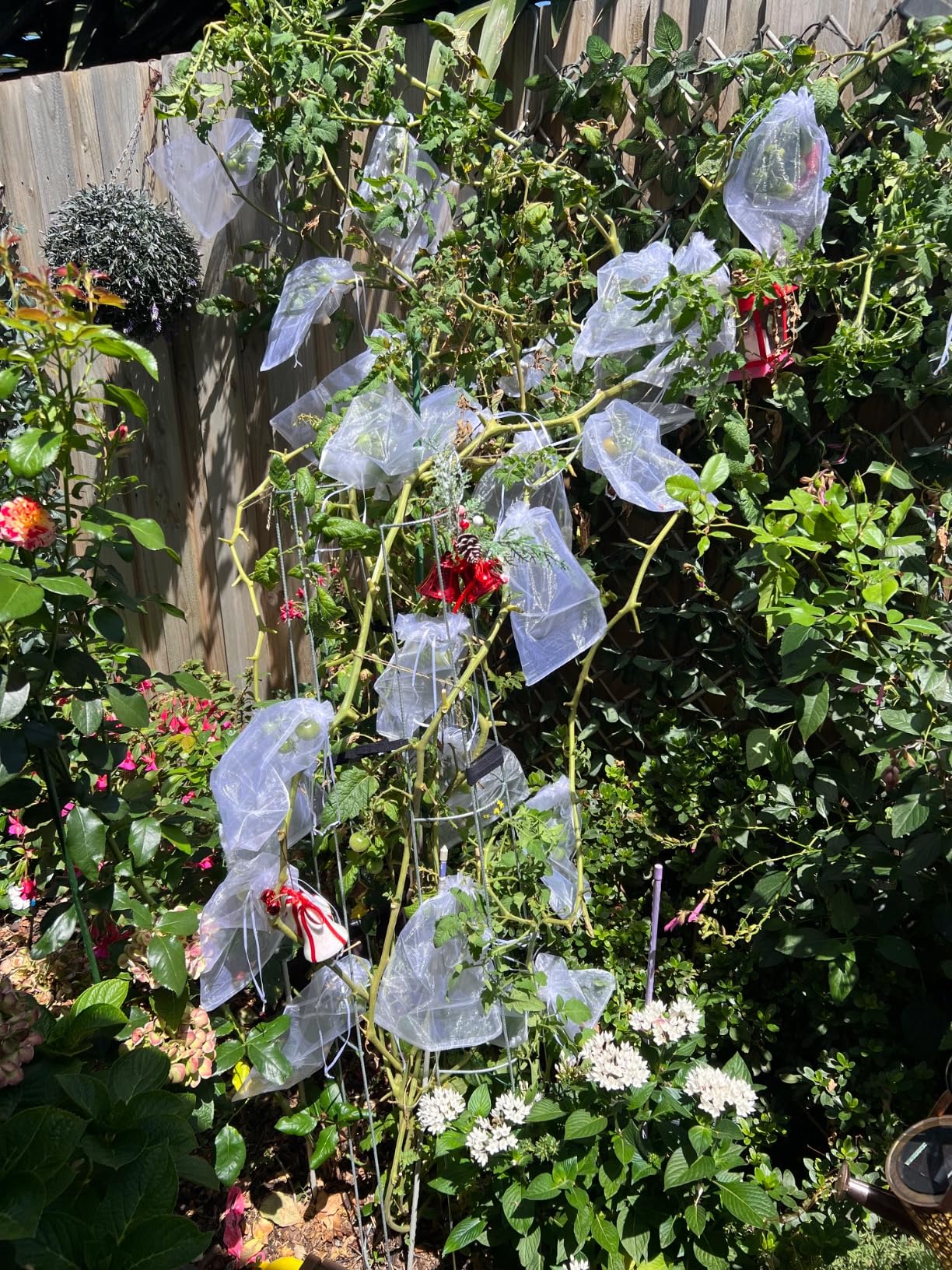 50pcs Fruit Protection Bags, 20 * 30cm Reusable Mesh Drawstring ...