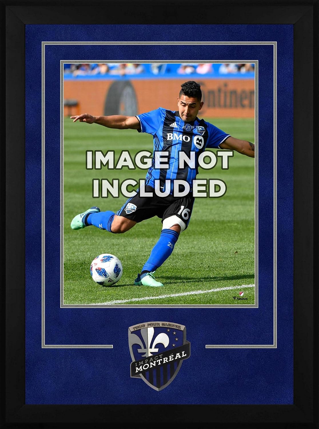 Amazon.com: Montreal Impact Deluxe 16" x 20" Vertical Photograph Frame ...