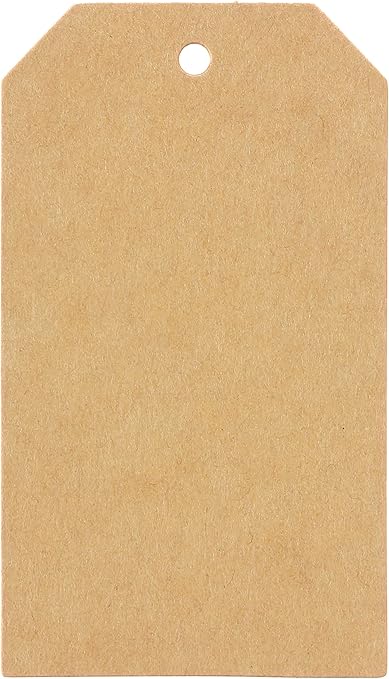 Amazon.com : CleverDelights Kraft Price Tags - 2" x 3.5" - 100 Pack ...
