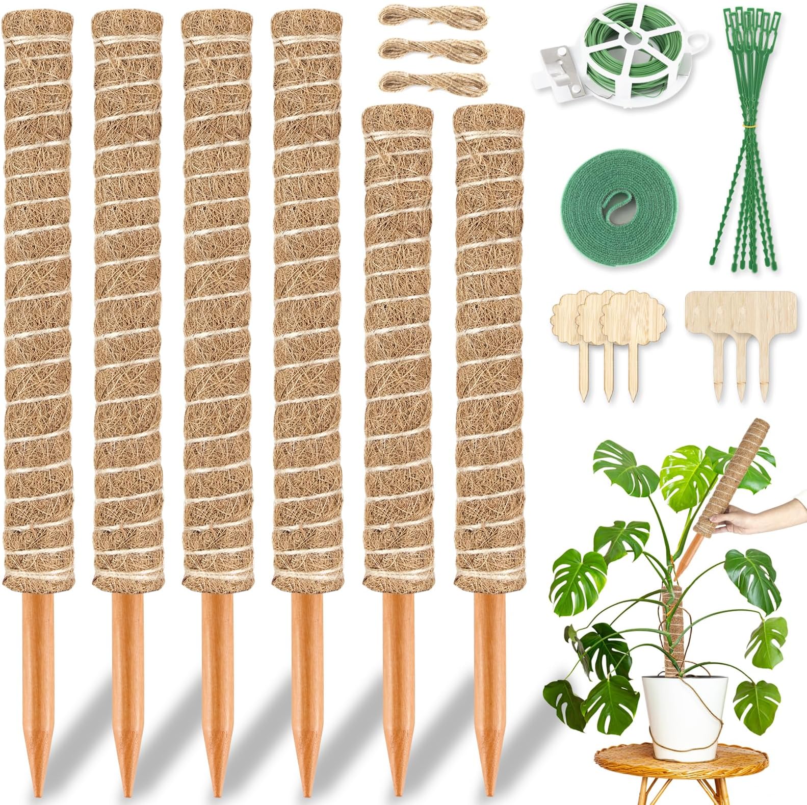 Amazon.com : Premium Moss Pole for Plants Monstera 94", 6 Pack 15.8 ...