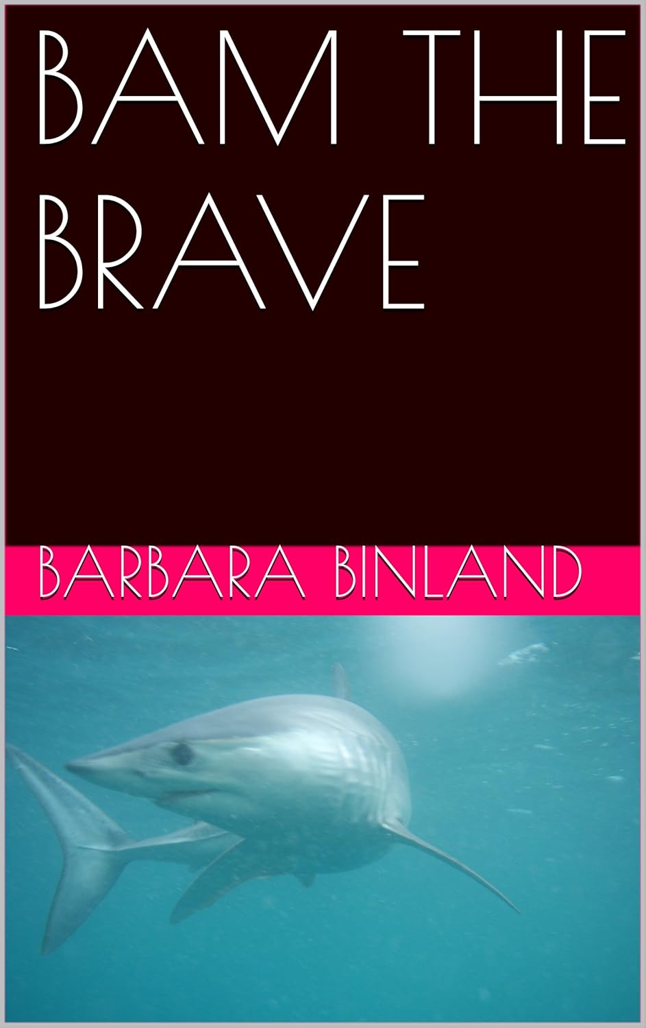 BAM THE BRAVE - Kindle edition by Binland, Barbara. Children Kindle ...