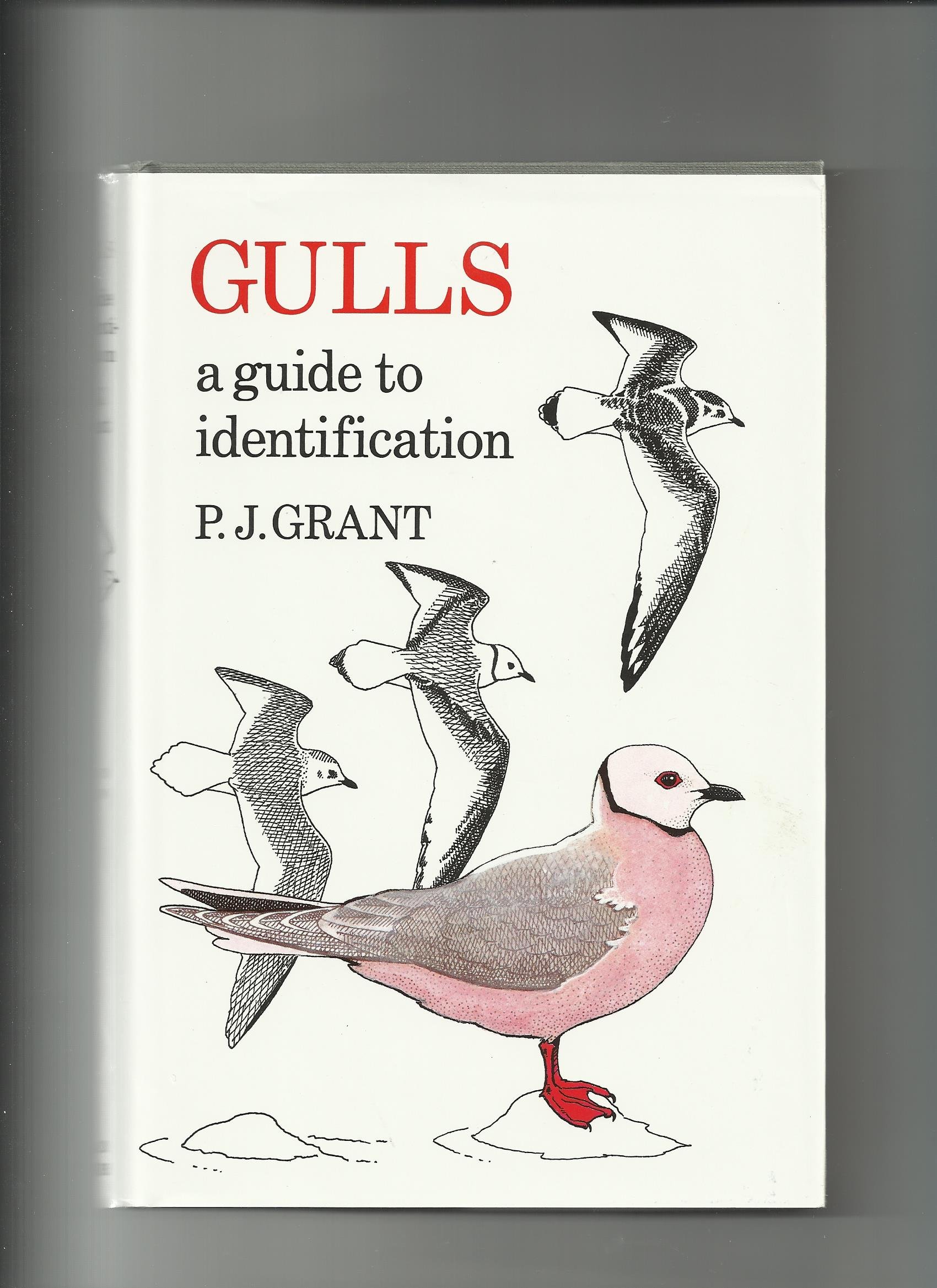 Gulls: A Guide to Identification: Amazon.co.uk: Grant, P.J ...