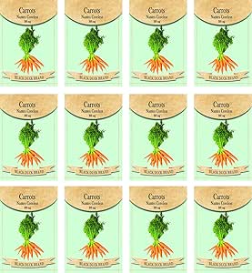 Amazon.com : Set of 12 Carrot- Nantes Coreless Vegetable Seed Packs ...