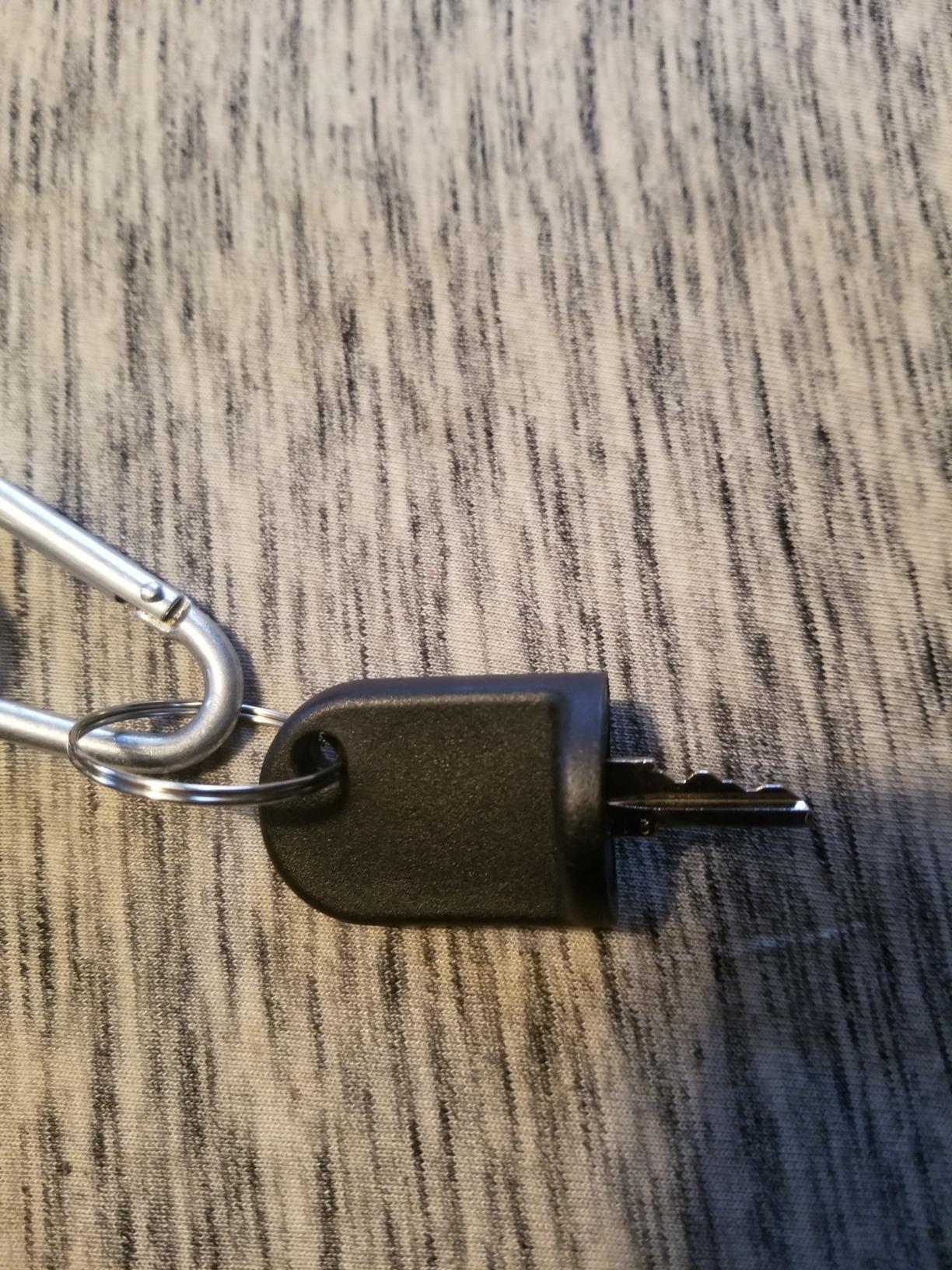 Amazon.com : EZGO Rxv Keys, Set of 2 - 611282 : Yard Carts : Sports ...