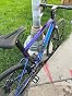 Amazon.com : KABON Carbon Road Bike, T800 Carbon Fiber Frame 700C Road ...