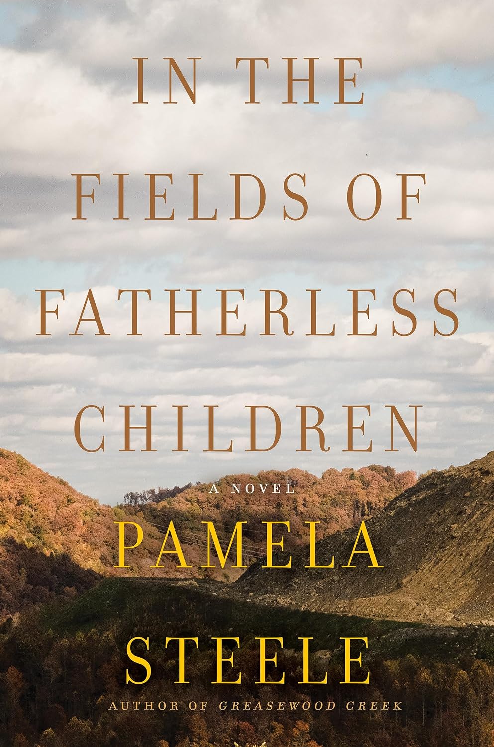 Amazon.com: In The Fields of Fatherless Children: A Novel ...