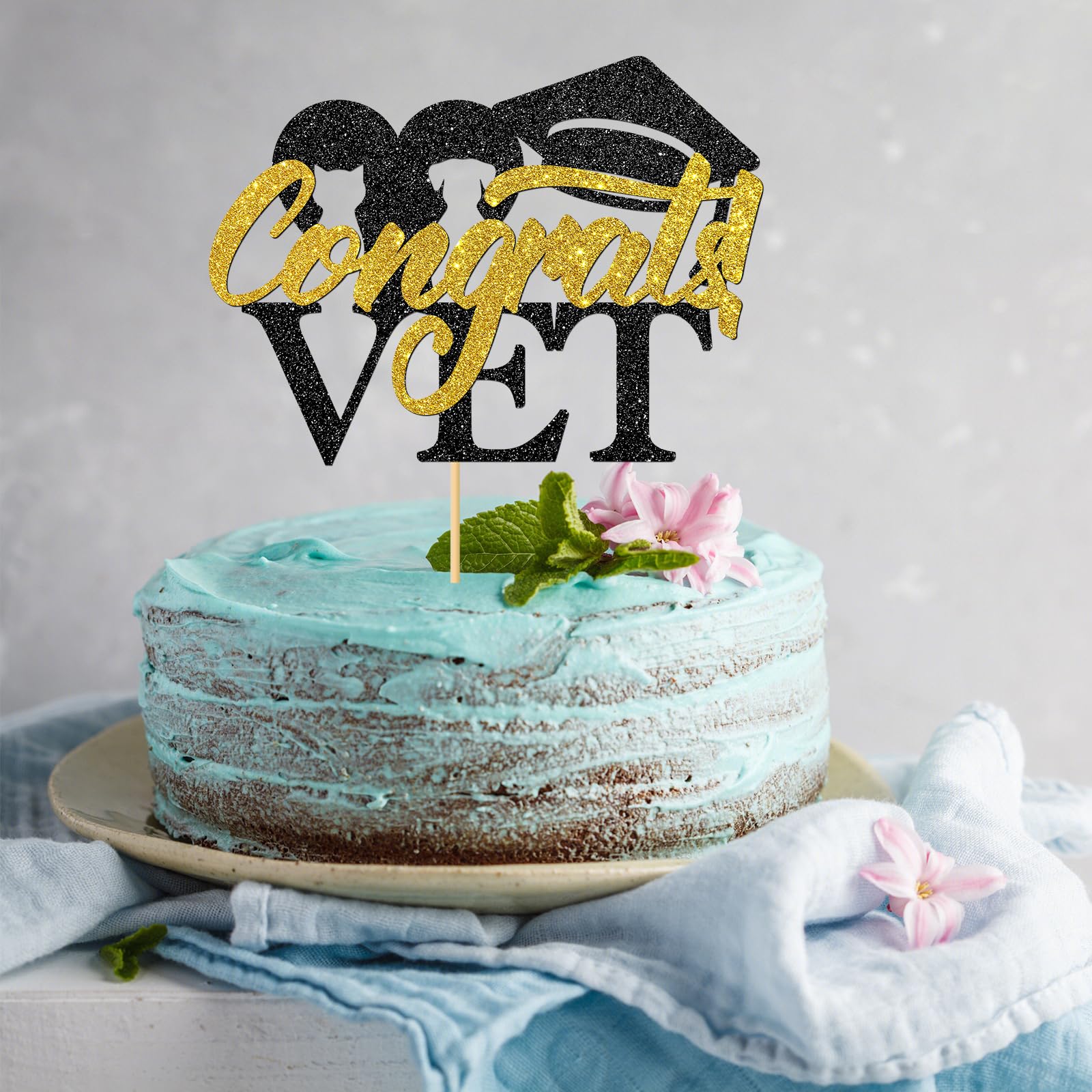 Vet School Graduation Party Veterinary Medicine | Spring 2024