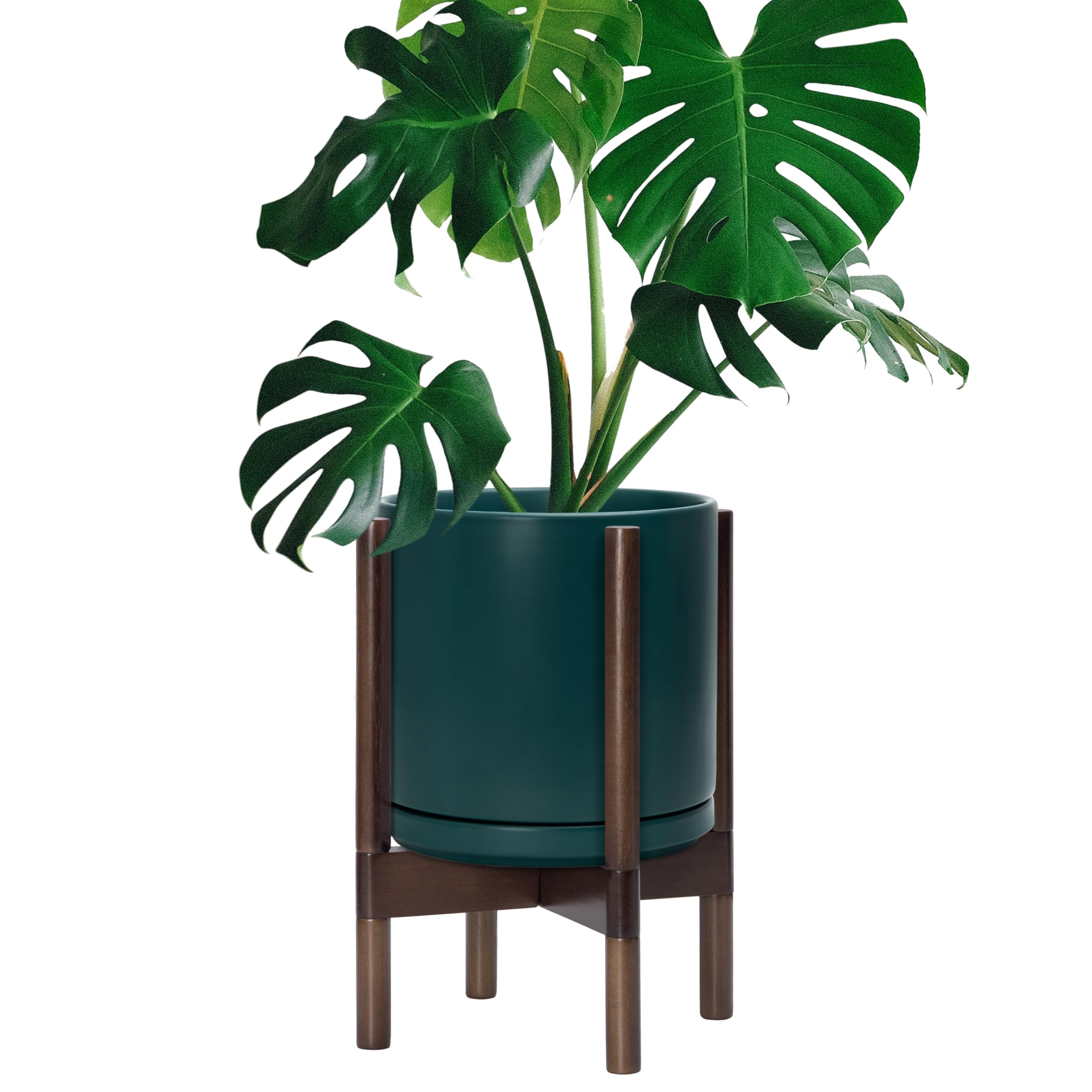 Amazon.com : D'vine Dev Ceramic Planter with Walnut Color Stand - 10 ...