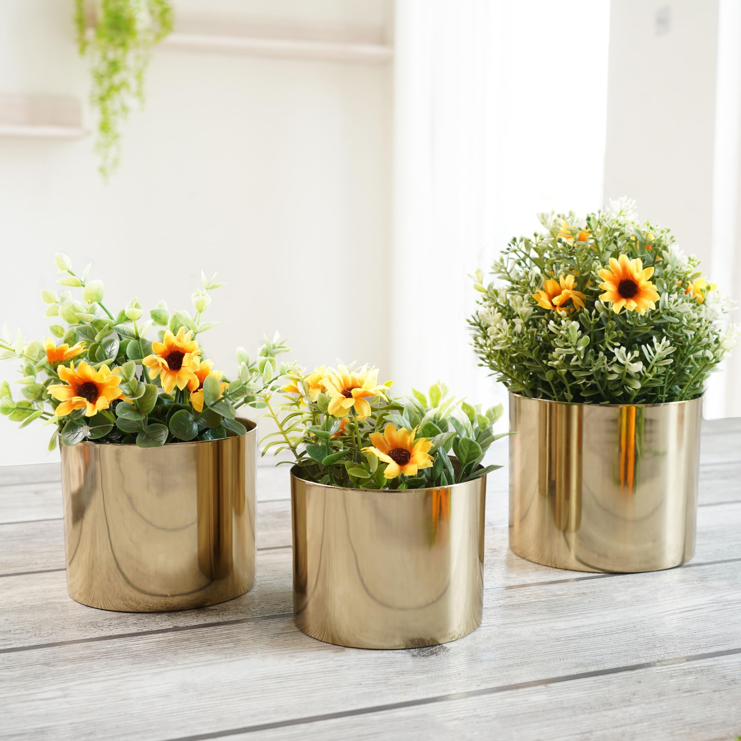 GOLD DUST Metal Pots for Plants, Pots and Planters, Plant Pots for Home ...