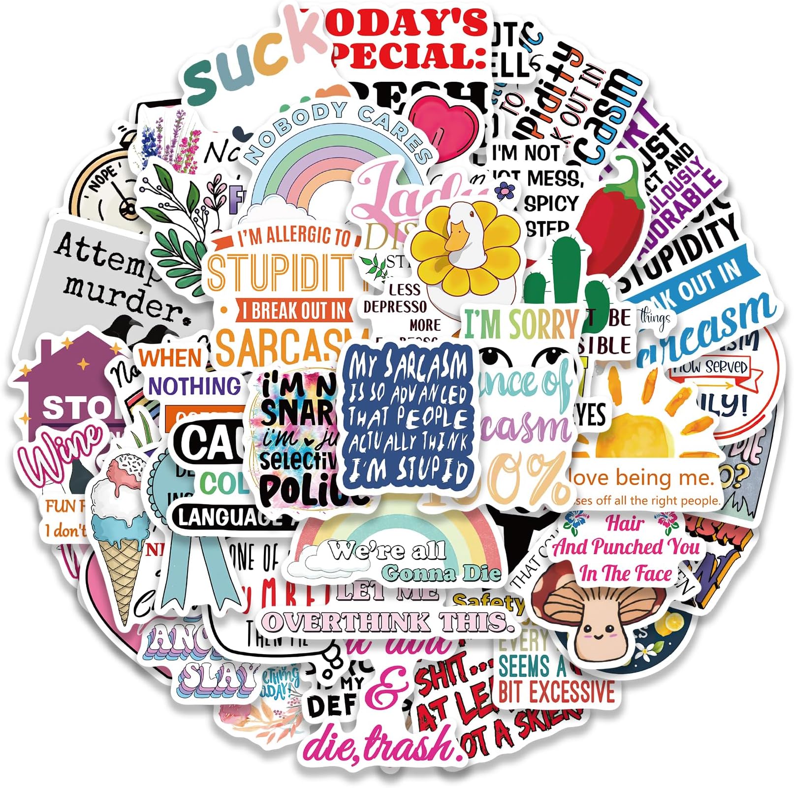 Amazon.com: Dinifee 2 Sheets Silly Goose Sticker Funny Stickers ...