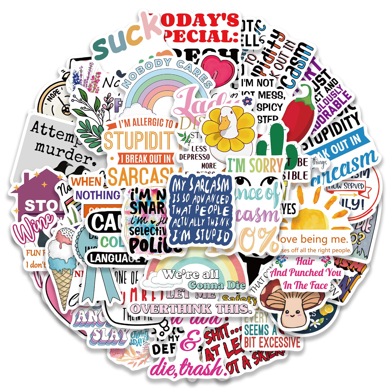 Amazon.com: Snarky Stickers 50Pcs Sarcastic Quotes Stickers for Adults ...