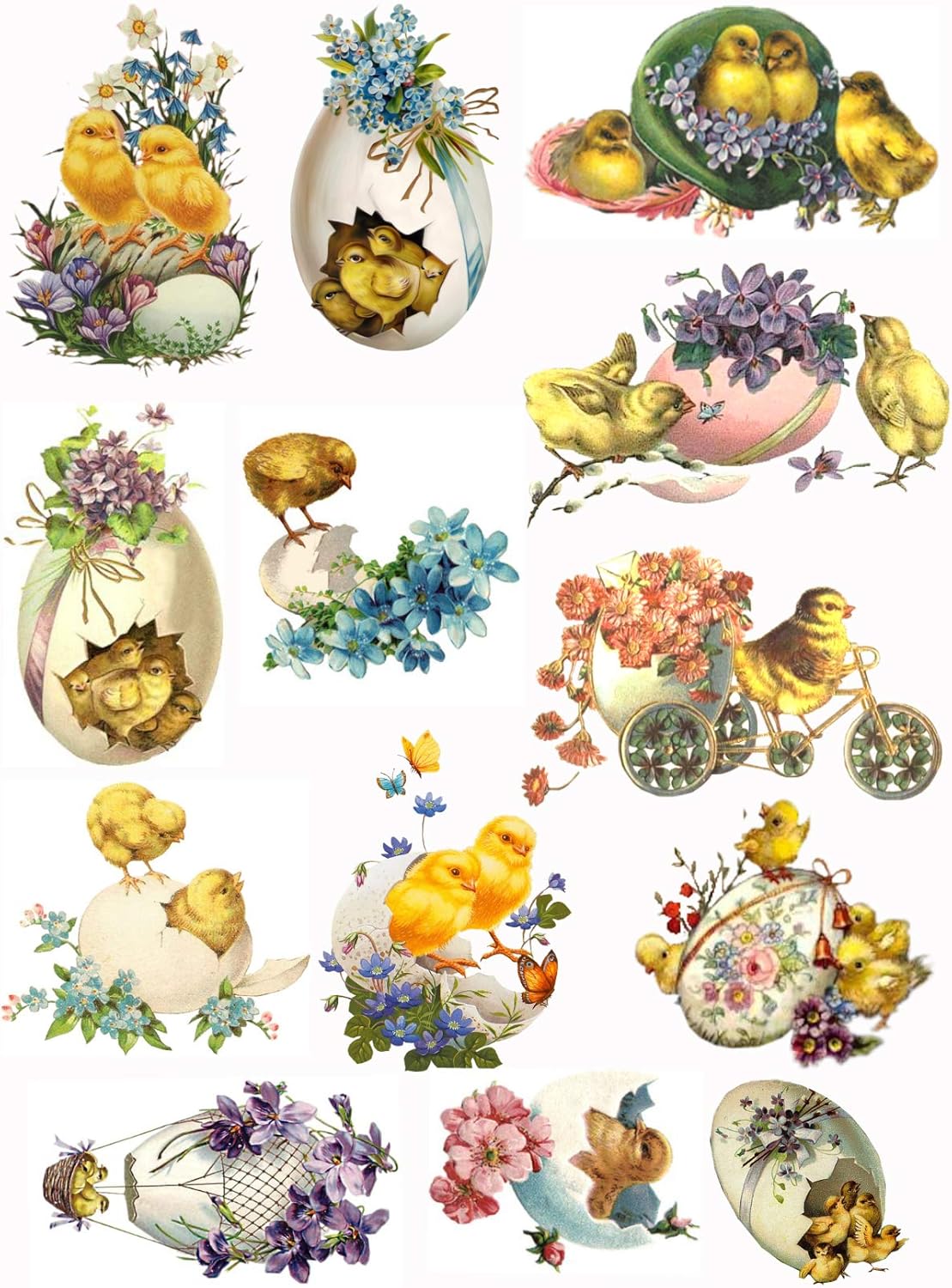 Amazon.com: Chicks and Eggs Collage Sheet #101 c