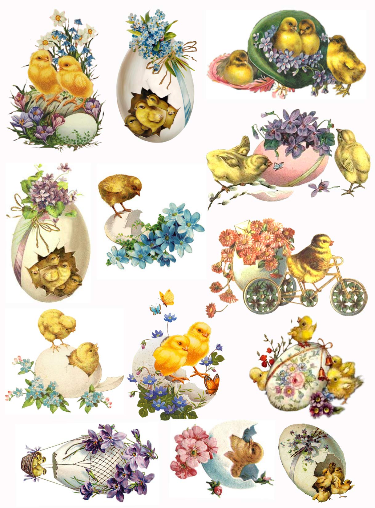 Amazon.com: Chicks and Eggs Collage Sheet #101 c