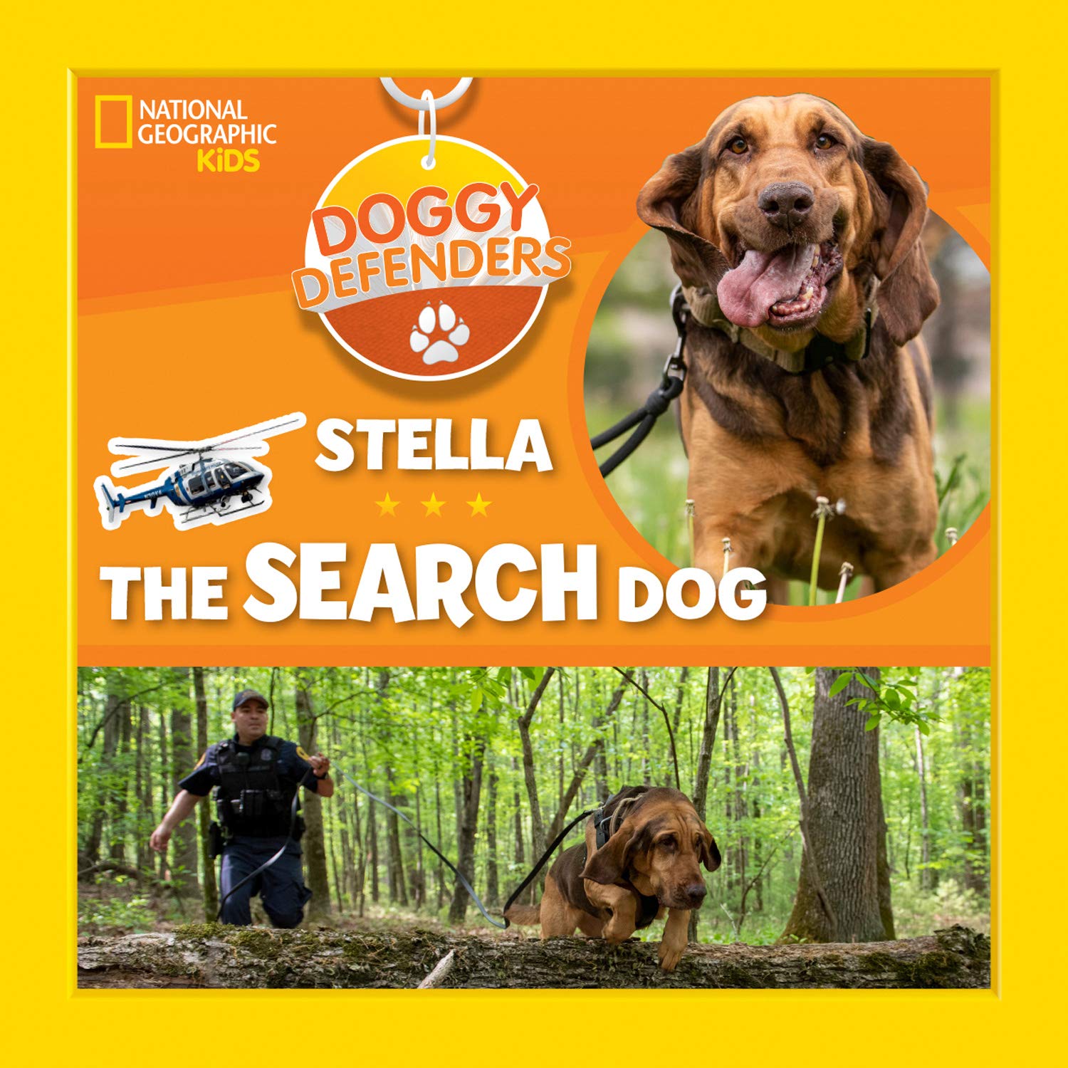 What Do Search Dogs Do