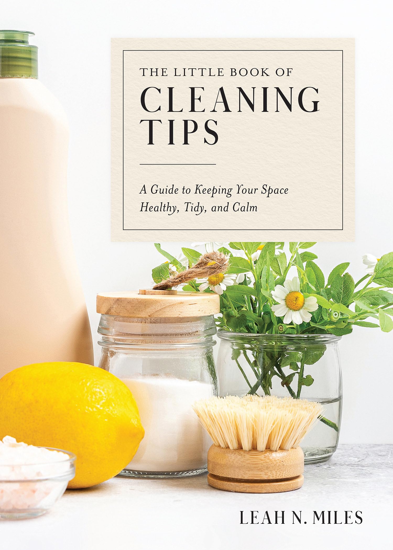 Buy The Little Book of Cleaning Tips: A Guide to Keeping Your Space ...