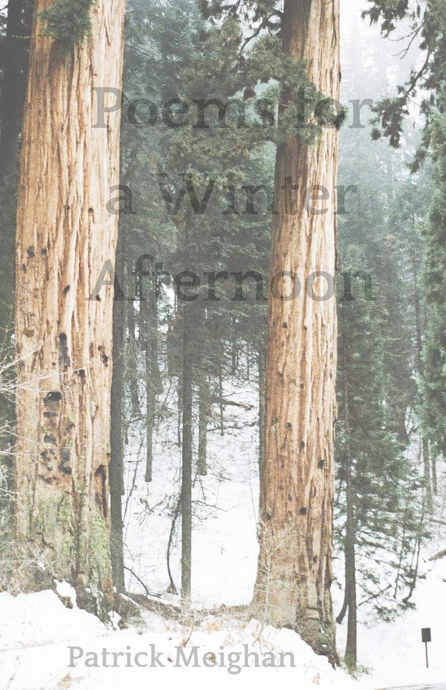 Poems for a Winter Afternoon: Amazon.co.uk: Meighan, Patrick ...