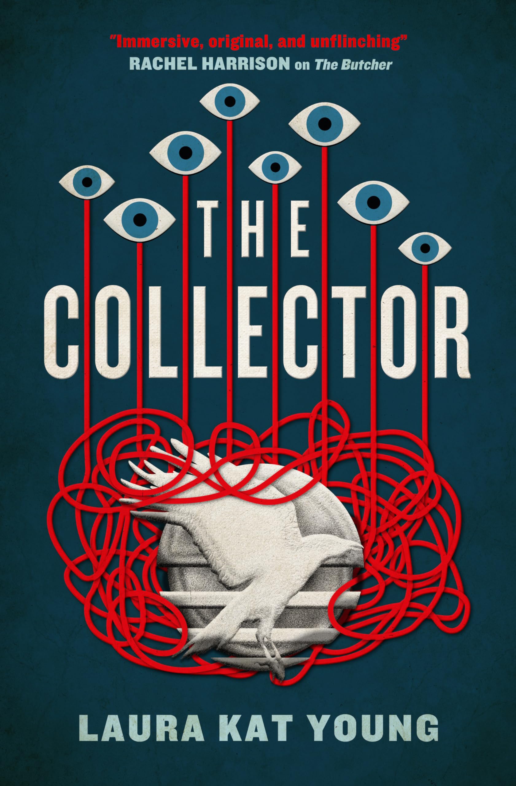 The Collector : Young, Laura Kat: Amazon.co.uk: Books