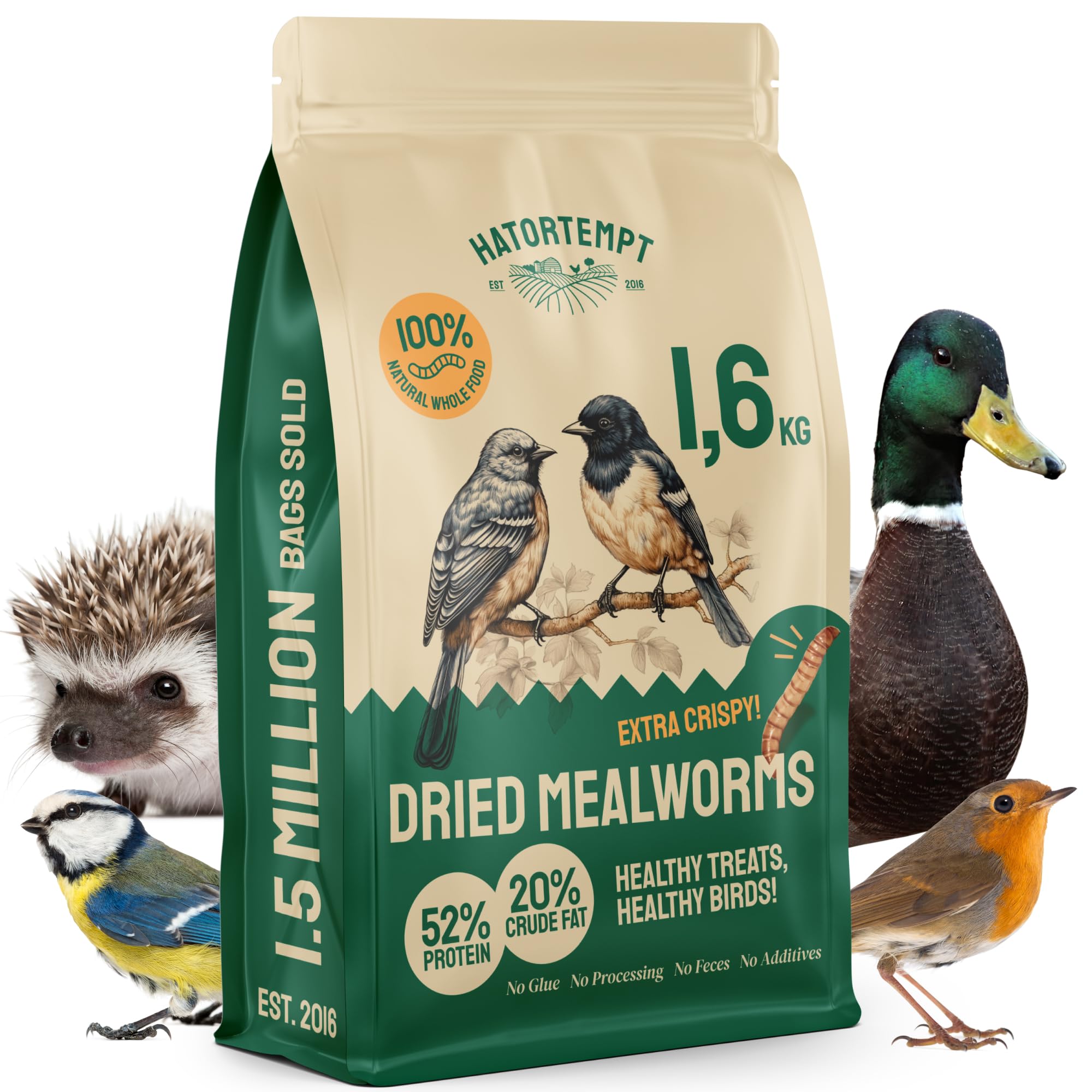 Hatortempt 10L Premium Dried Mealworms 1.6kg - Protein Rich Bird Food ...