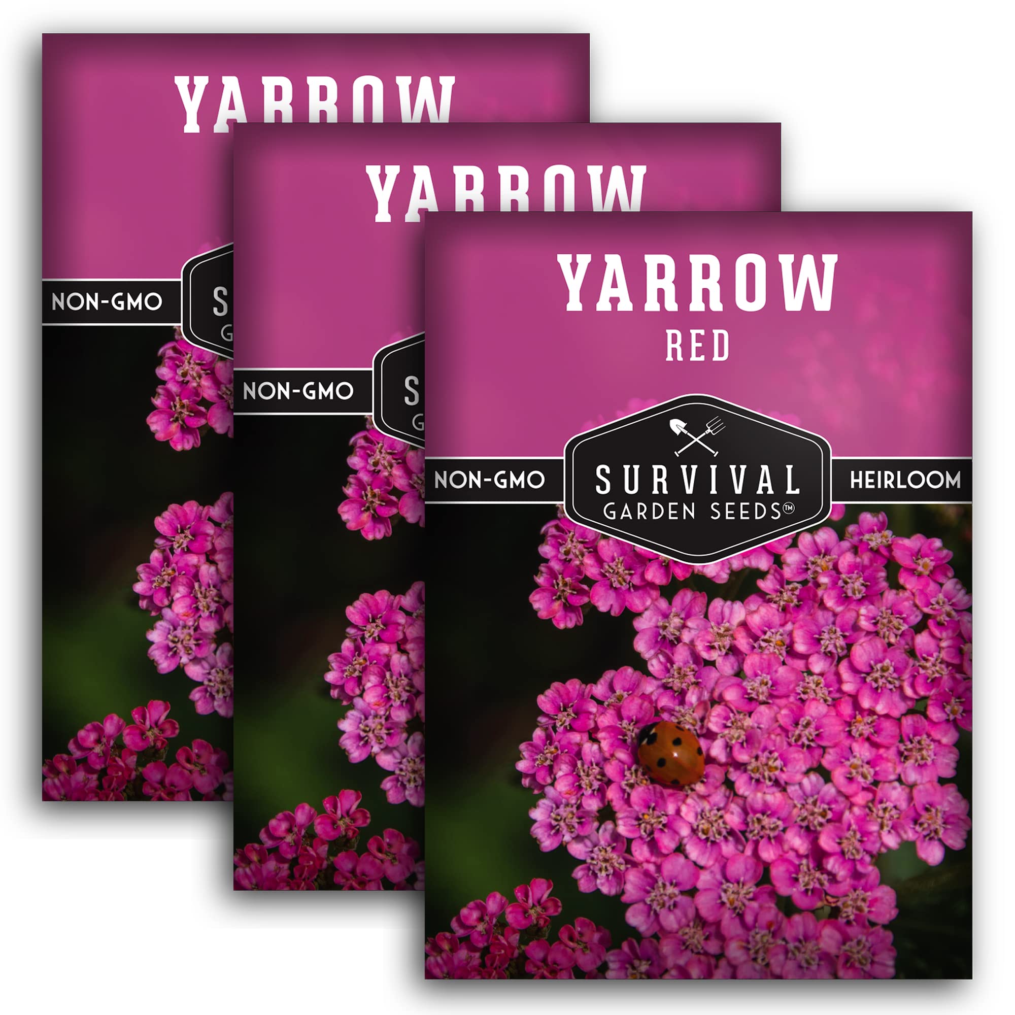 Amazon.com : Red Yarrow Seed for Planting in The Garden - 3 Packs with ...