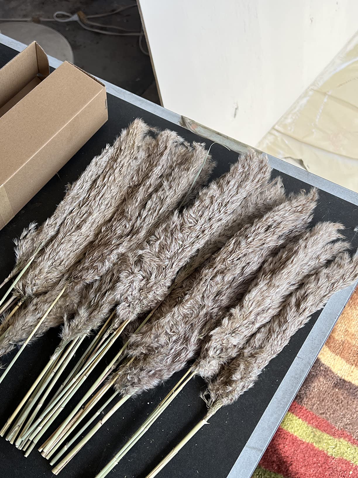 2 Mo Finance Dried Pampas Grass Decor 18 Inches Small Pompus Grass 30 Stems Natural Fluffy