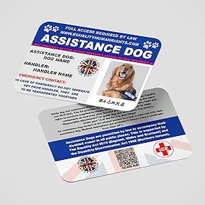 Personalized Assistance Dog Card with Matching Dog Tags : Amazon.co.uk ...