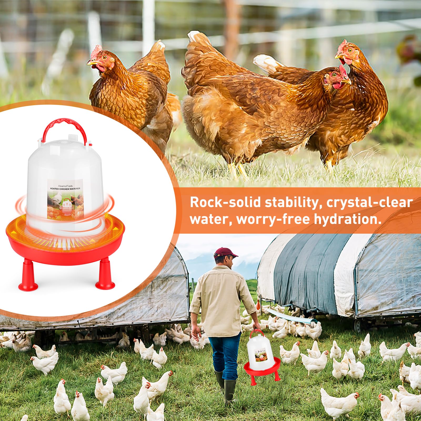 Snapklik.com : Heated Chicken Waterer Poultry Waterer 2 Gal, Heavy Duty ...